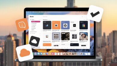 How to Download Albums from Bunkr: Step-by-Step Guide